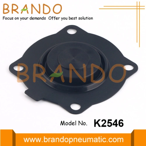 중국 K2546 Goyen 유형 RCAC25DD4012 펄스 밸브 충격파 다이어프램 제조업체