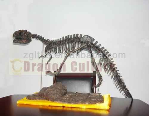 Hotest! Jurassic Simulation Dinosaur Fossils Replica, High Quality ...