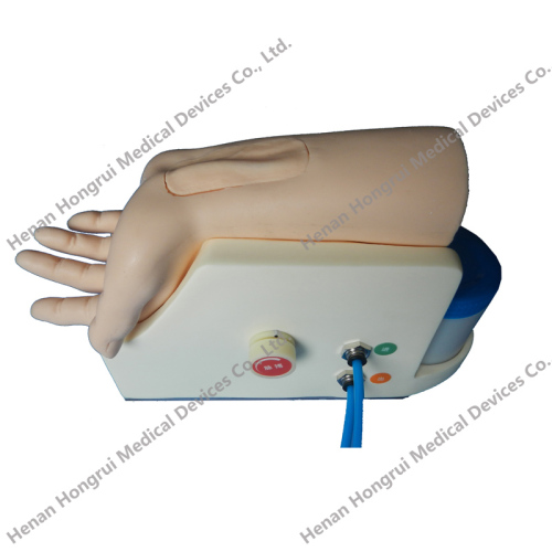Advanced Artery Puncture Nursing Training Model,artery Puncture ...
