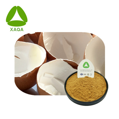Egg Shell Membrane Extract Powder 10:1, High Quality Egg Shell Membrane ...