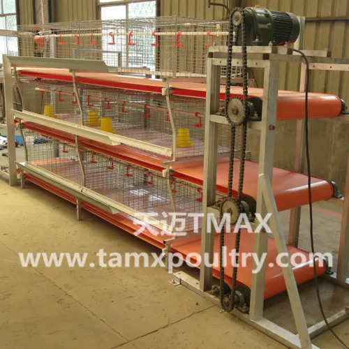 Poultry Manure Belt, High Quality Poultry Manure Belt on Bossgoo.com