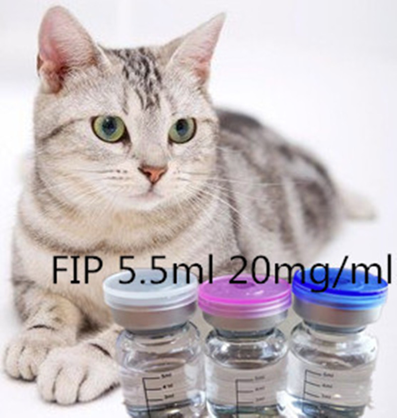 Veterniary 의학 고양이 Fip 영양소 Gs441524., Bossgoo.com의 고품질 Veterniary 의학 고양이 ...