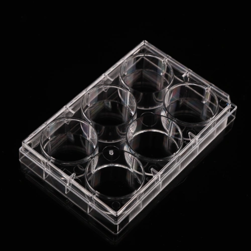 Non-Treated 6 well Cell Culture Plates China Manufacturers Suppliers ...