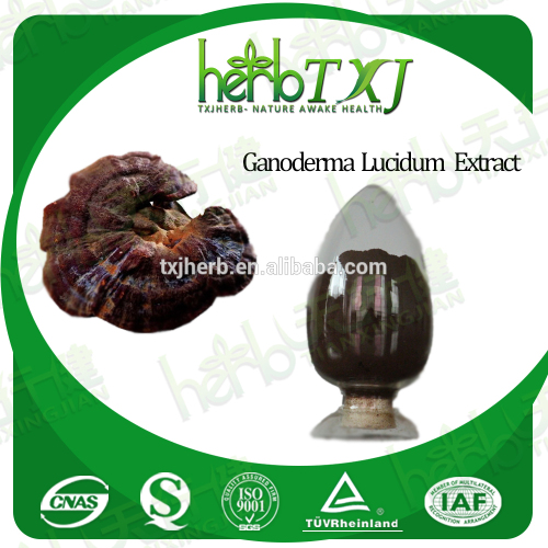 Ganoderma Lucidum Extract,ganoderma Lucidum Bulk Powder, High Quality ...