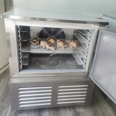 10 Tray Small Air Cooling Blast Freezer For Quick And Fast Freezing - 2 ...