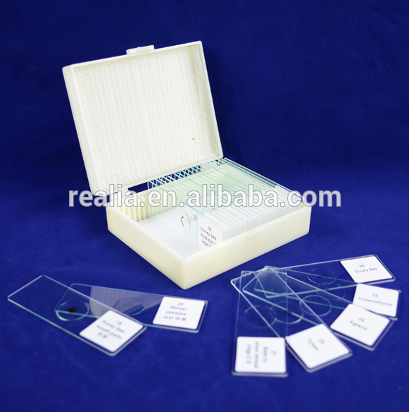 25 Pcs Packed In Plastic Slides Box, High Quality 25 Pcs Packed In ...