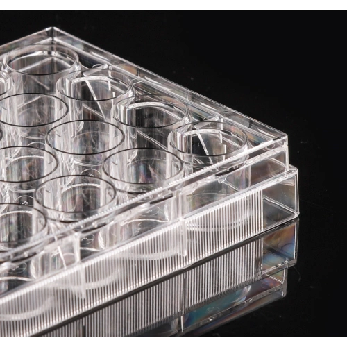 Non-treated 24 well Cell Culture Plates China Manufacturers Suppliers ...