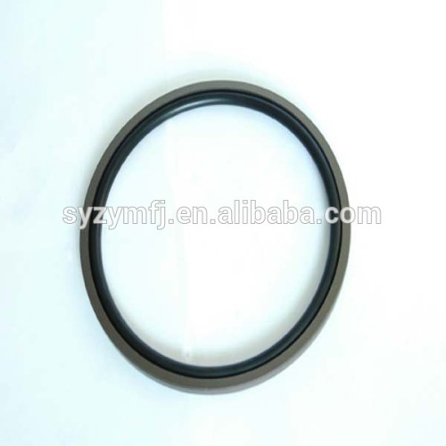 Heavy Duty Glyd Ring, High Quality Heavy Duty Glyd Ring on Bossgoo.com