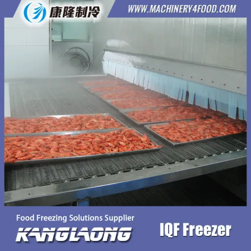 2000kg/h Frozen Chicken Leg Quarters Instant Freezing Machine, High ...