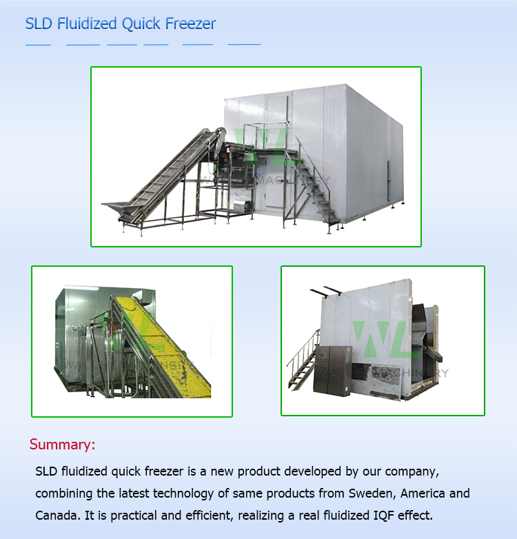 Industrial Iqf Freezer Machines For Vegetables And Fruits | Factory ...