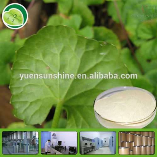 Natural Centella Asiatica Extract, High Quality Natural Centella ...