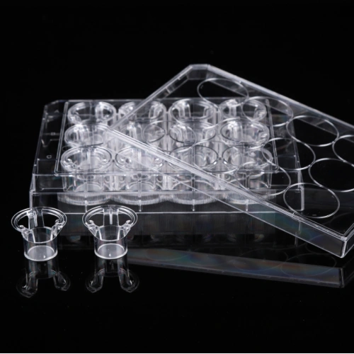 PC Memberane Cell Culture Inserts for 12-well plates China Manufacturer