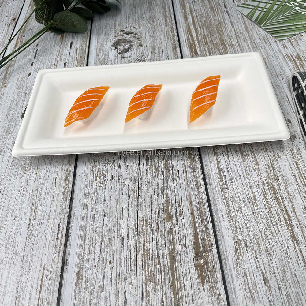 Compostable Eco-friendly Sugarcane Fiber Paper Pulp Tray, High Quality ...