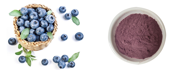 Natural Blueberry Extract Anthocyanin Powder 25% Anthocyanin Powder ...