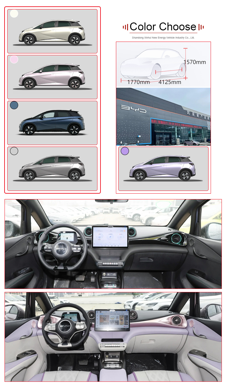 Byd Dolphin 2024 Knight Electric Car - Fashion Edition With 405km Range ...