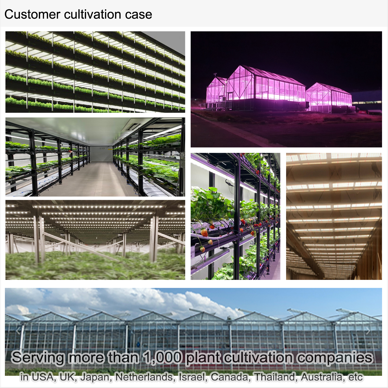 Sf 시리즈 Led 성장 조명 : Spider Sf 4000, Sf 2000, Sf-1000, Sf-2000, Sf600 용 ...