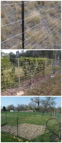 Direct Factory Steel Fence Y Post, High Quality Direct Factory Steel ...