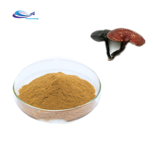Lucidum 추출물 Ganoderma Lucidum 분말 공급, Bossgoo.com의 고품질 Lucidum 추출물 ...