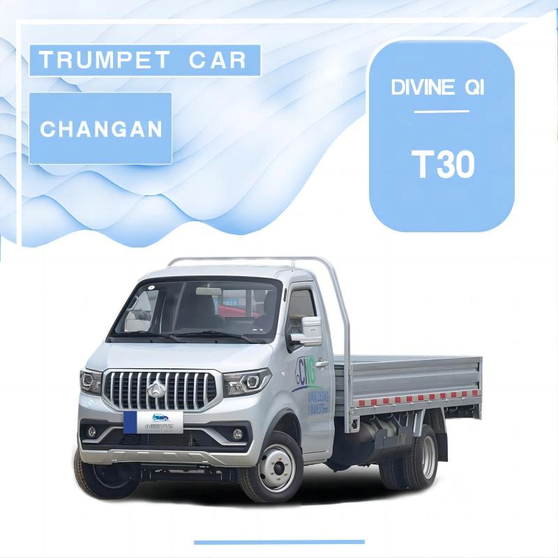 Changan Shenqi T30 Standard Car China Manufacturers Suppliers Factory ...