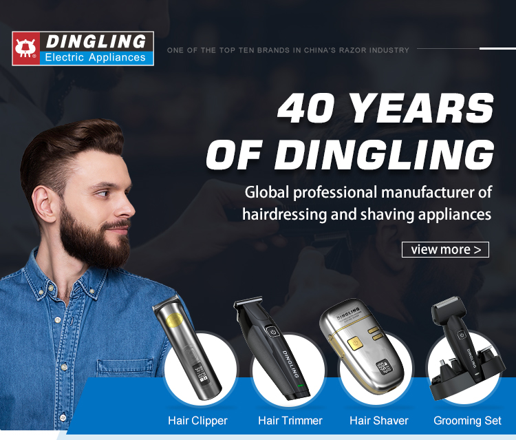 Dingling Rf-609 Pro Professional Rechargeable Lithium Battery Hair ...