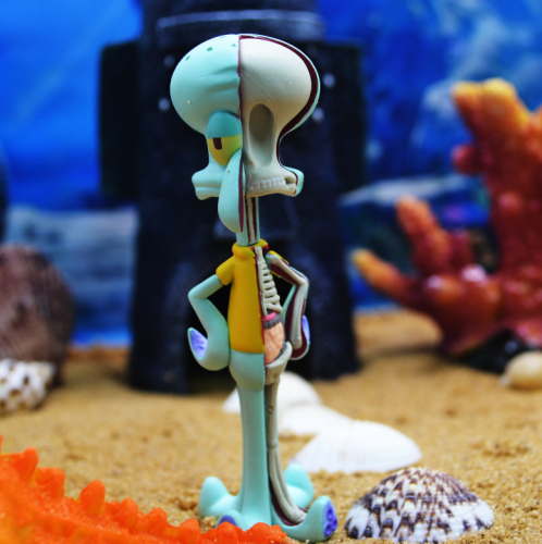 Anatomical Spongebob Squarepants Blind Box Toys Series 2, High Quality ...