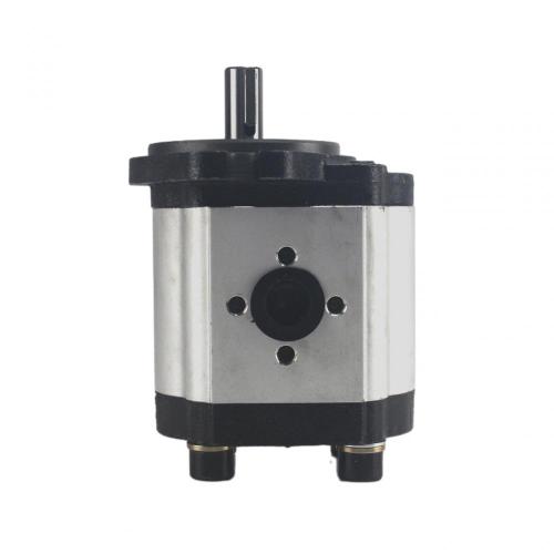 Cbw-f320 Rhombus Flange Cast Iron Hydraulic Gear Pump, High Quality Cbw ...