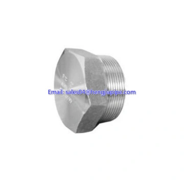 Offer NPT Plug,Threaded Plug,Carbon Steel Plug From China Manufacturer