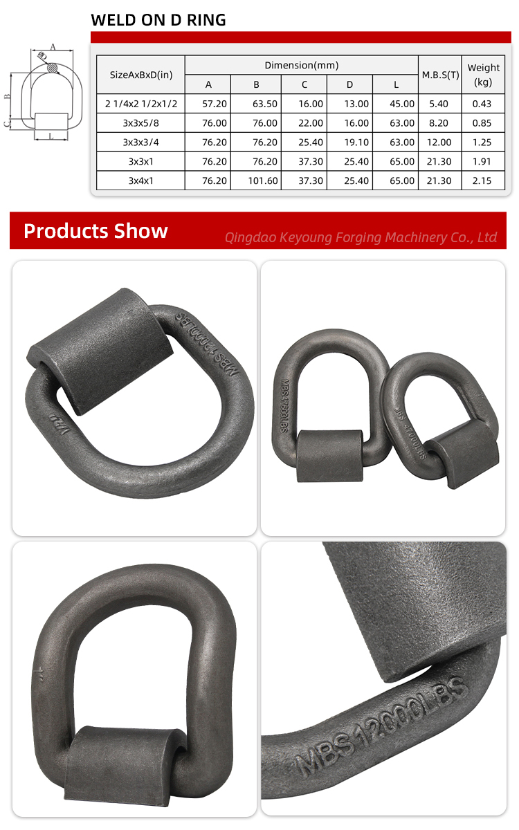 Rigging Alloy Steel Main Ring D-ring & Lifting Ring Hardware ...