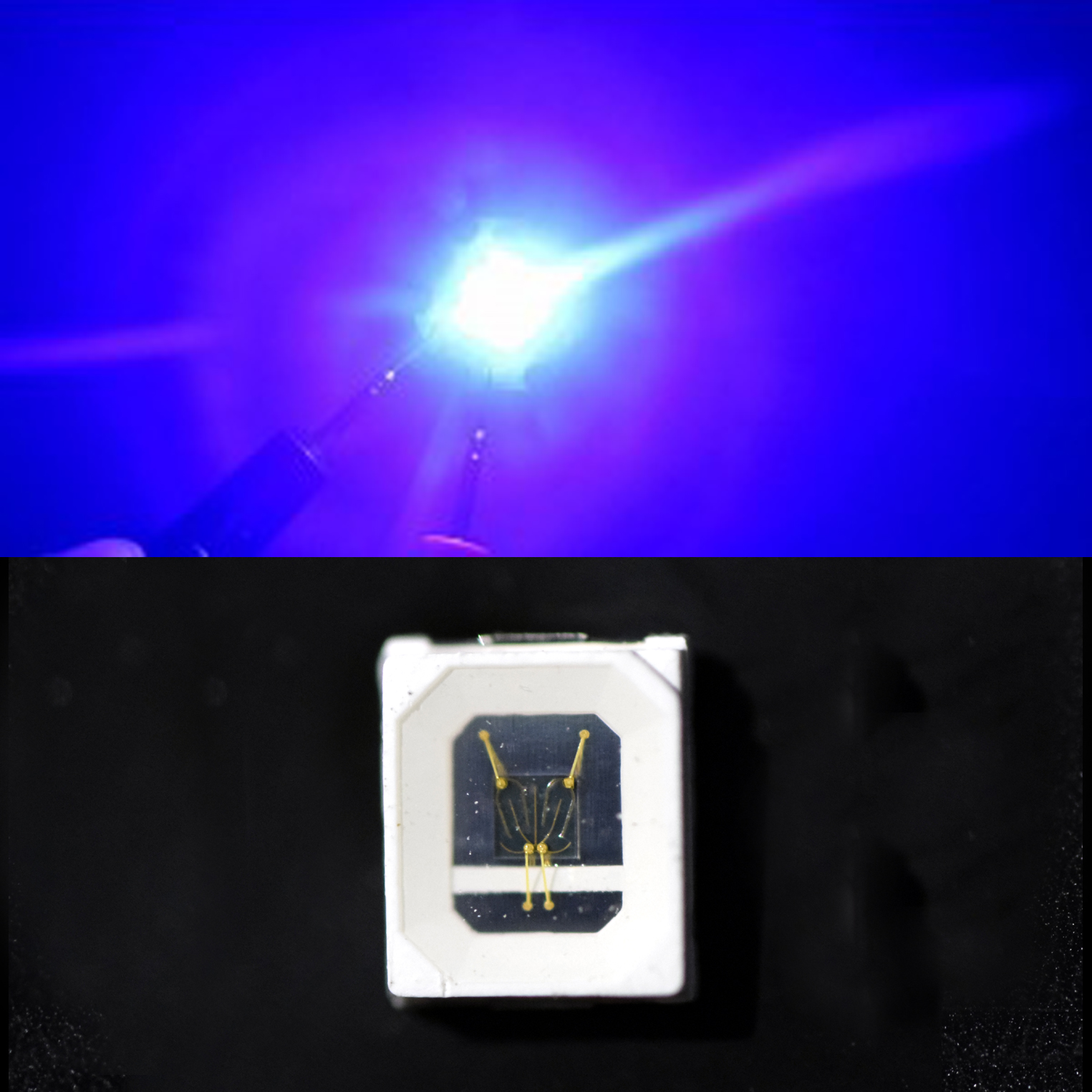 2835 0.5W Blue SMD LED 455-460-465nm China Manufacturers Suppliers ...