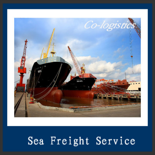 Shipping Container To Montreal, High Quality Shipping Container To ...
