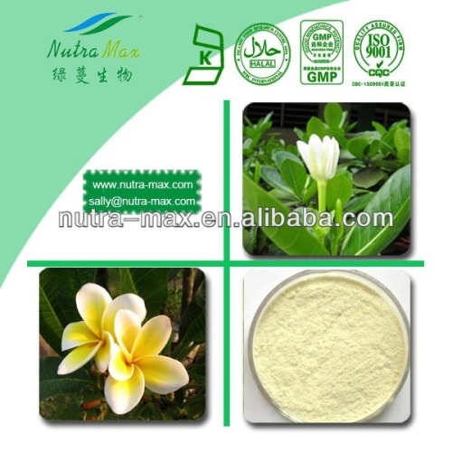 Gardenia Jasminoides Extract,gardenia Jasminoides Extract Powder ...
