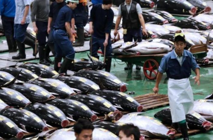 Japan and world ocean day assembly