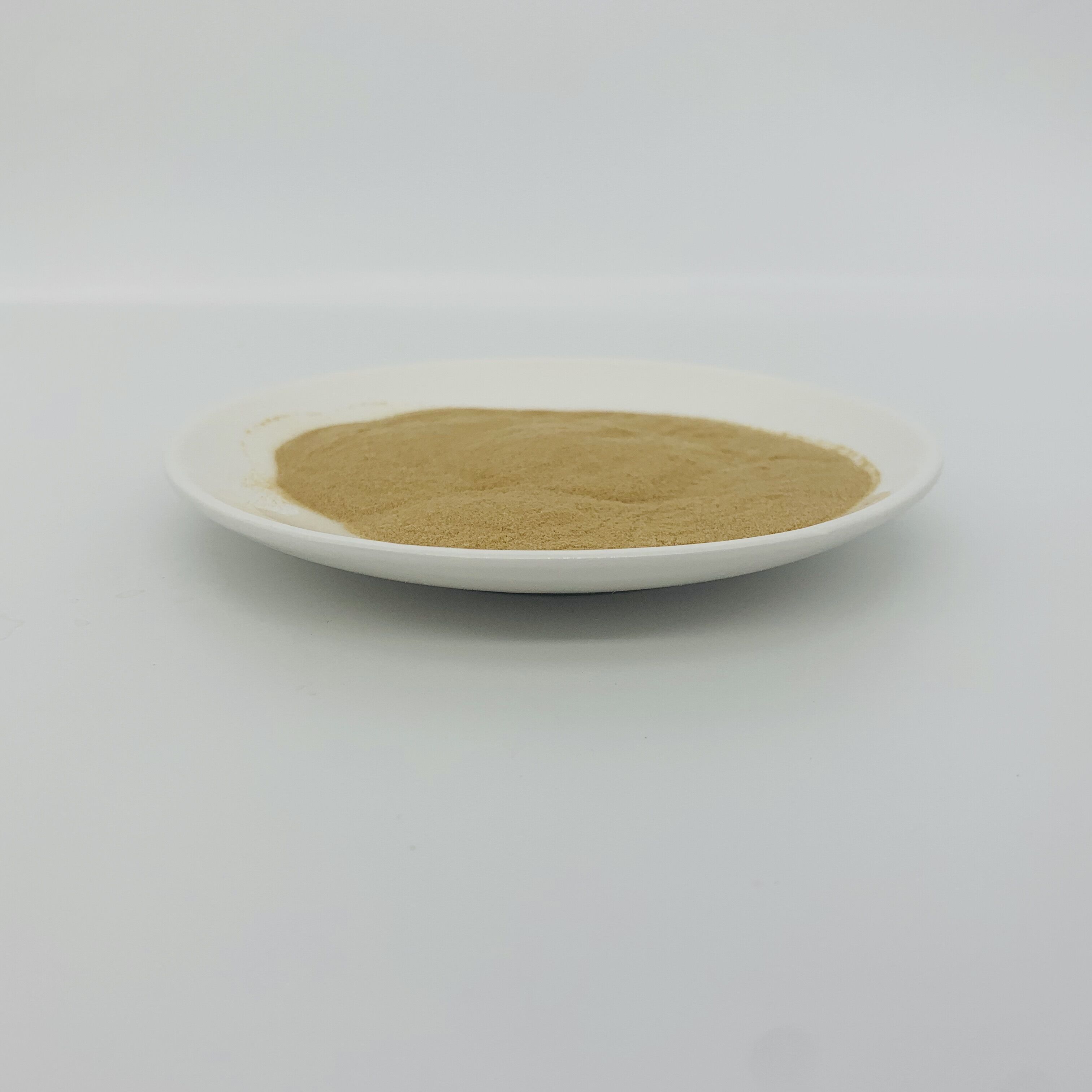 Natural Japanese Knotweed Extract Powder, High Quality Natural Japanese ...