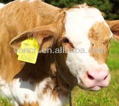 Uhf Rfid Chip Cow, High Quality Uhf Rfid Chip Cow on Bossgoo.com