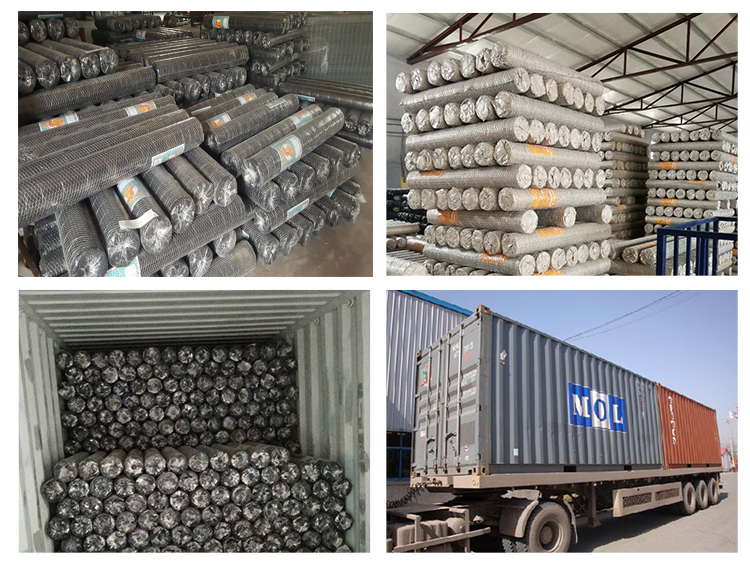 3/4 Inch Hexagonal Galvanized 22 Gauge Poultry Netting Chicken Wire ...