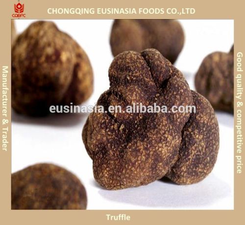 Fresh/frozen Truffle, Tuber Indicum Mushroom, High Quality Fresh/frozen ...
