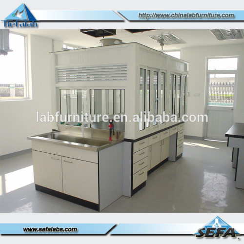 Laboratory Fume Hood, Metal Fume Hood For Chemical Laboratory, High ...