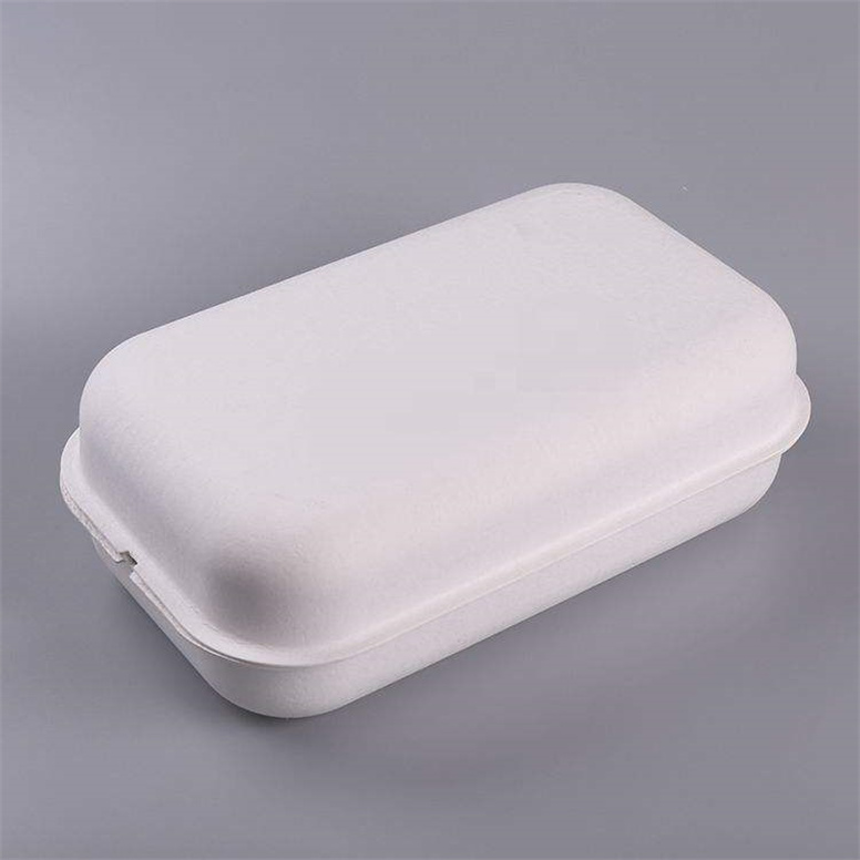 Sugarcane Bagasse Paper Pulp Molded Clothes Packaging Box, High Quality ...
