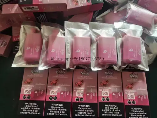 Bang 5000 Puffs Disposable Vape Pod Device, High Quality Bang 5000 ...