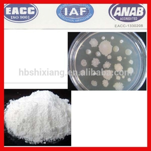 Bacillus Subtilis Feed Probiotic, High Quality Bacillus Subtilis Feed ...