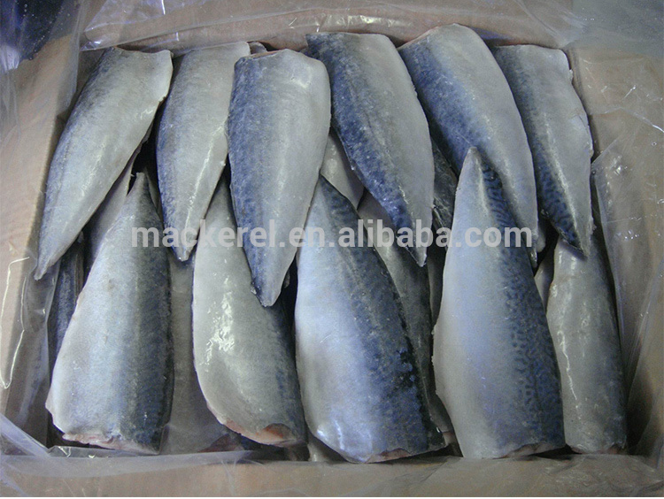 Frozen Fish Pacific Mackerel Fillet ใน Vaccum Pack คุณภาพสูง Frozen ...