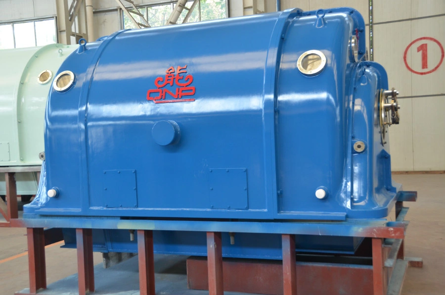 Micro Steam Turbine Electric Generator QNP