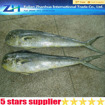 Types Of Seafoods Frozen Mahi Mahi Fish In New Stock, High Quality ...