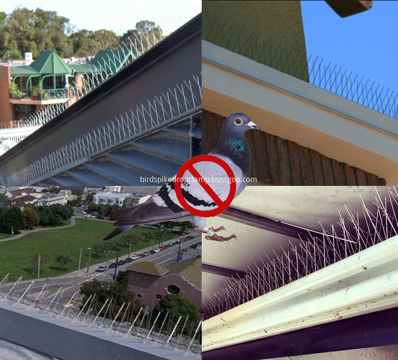 How To Install Plastic Bird Spikes, High Quality How To Install Plastic ...