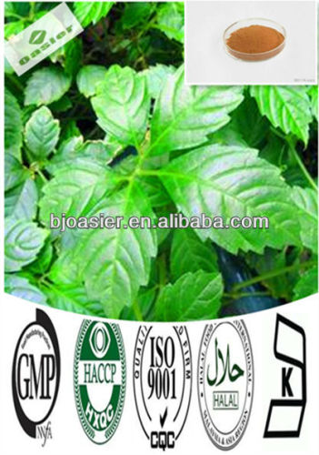 Gynostemma Pentaphyllum Extract Gypenosides, High Quality Gynostemma Pentaphyllum Extract ...