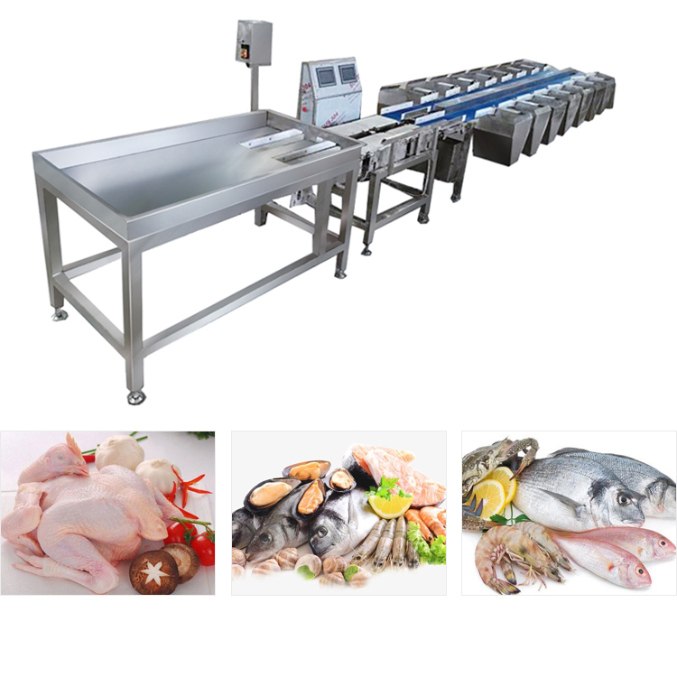 Fish Grading And Weight Sorting Machine For Chicken And Fish, High ...