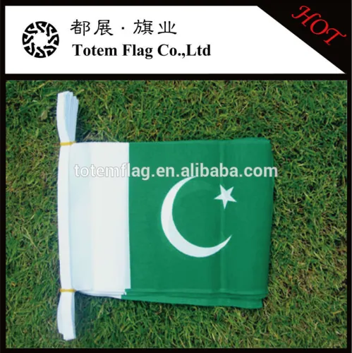 Pakistani Pakistan Bunting, High Quality Pakistani Pakistan Bunting on ...