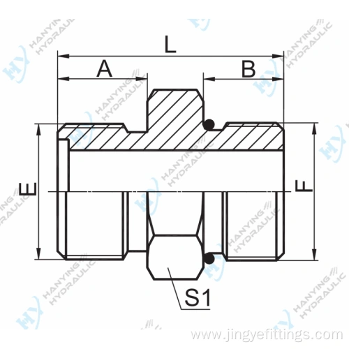 Metric Male O-Ring/Male SAE J1926/2 China Manufacturer
