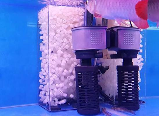Kaldnes K1 Bio Filter Media, High Quality Kaldnes K1 Bio Filter Media ...