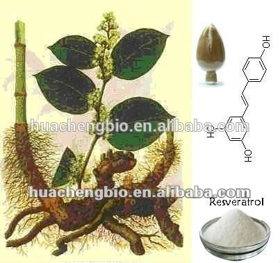 Iso&gmp Resveratrol Giant Knotweed Root Extract Powder, High Quality ...